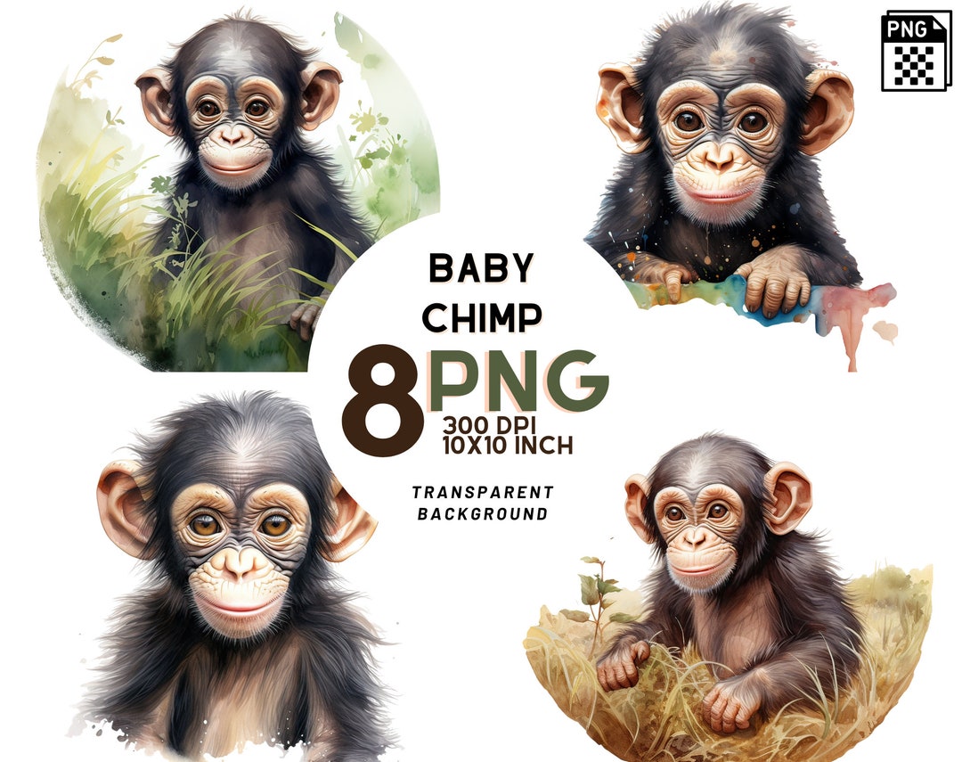 Watercolor Baby Chimp Clipart: 8 High-quality Pngs 300DPI - Jungle ...