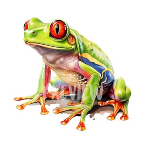 Watercolor Red Eyed Tree Frog Clipart: 8 High-quality Pngs 300DPI ...