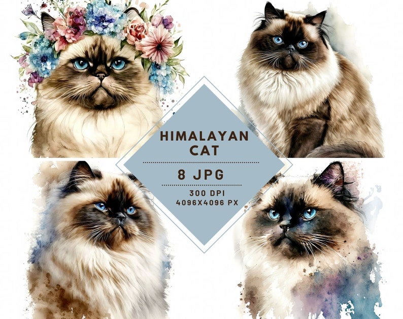 Watercolor Himalayan Cat Clipart Set: 8 High-quality Jpgs for - Etsy