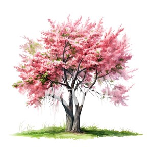 Watercolor Seasonal Trees Set: 8 High-quality 300 DPI PNG - Botanical ...