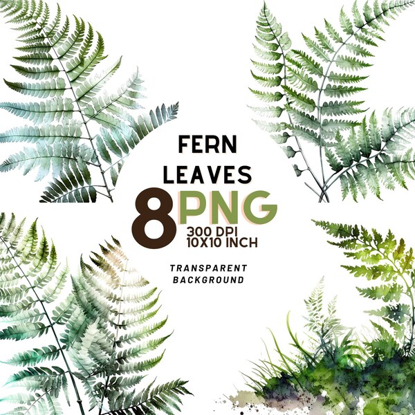 Fern Clip Art - Etsy