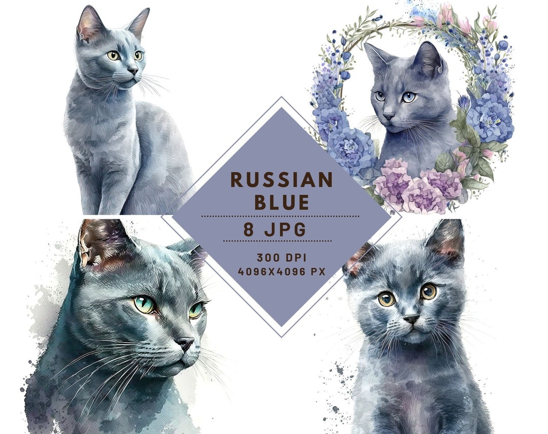 Watercolor Russian Blue Cat Clipart 8 High-quality Jpgs for - Etsy