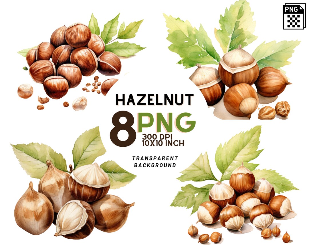 Watercolor Hazelnut Clipart - 8 High-resolution Pngs for Scrapbooking ...