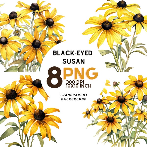 Black Eyed Susan - Etsy