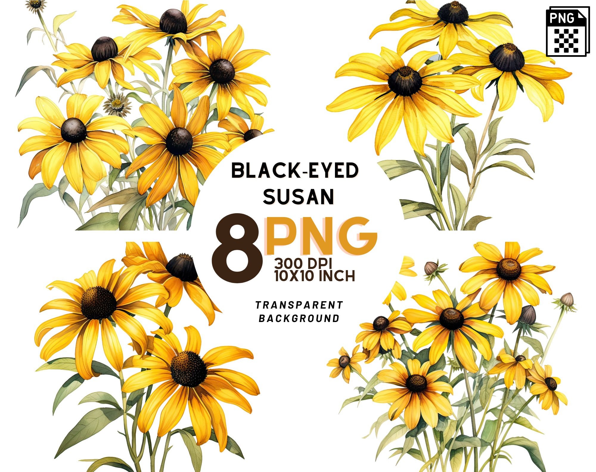 Black Eyed Susan Clipart
