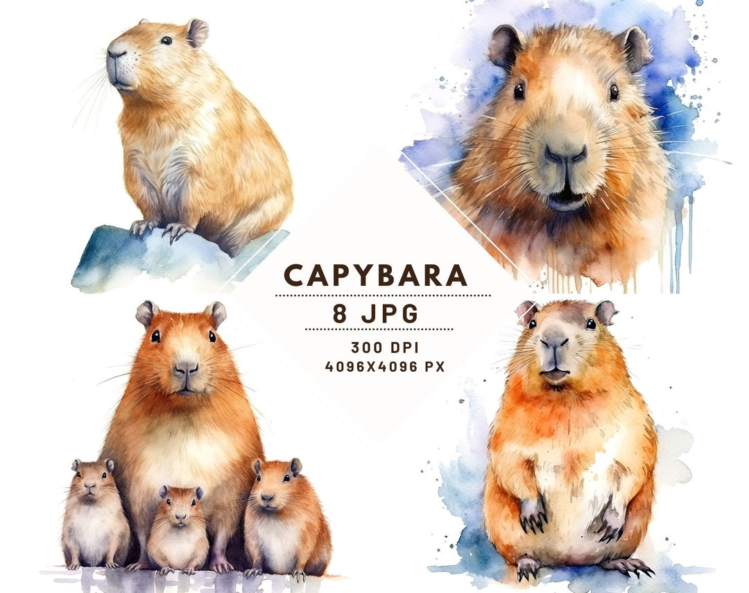 Watercolor Capybara Clipart: 8 High-quality 300 DPI Jpgs for - Etsy