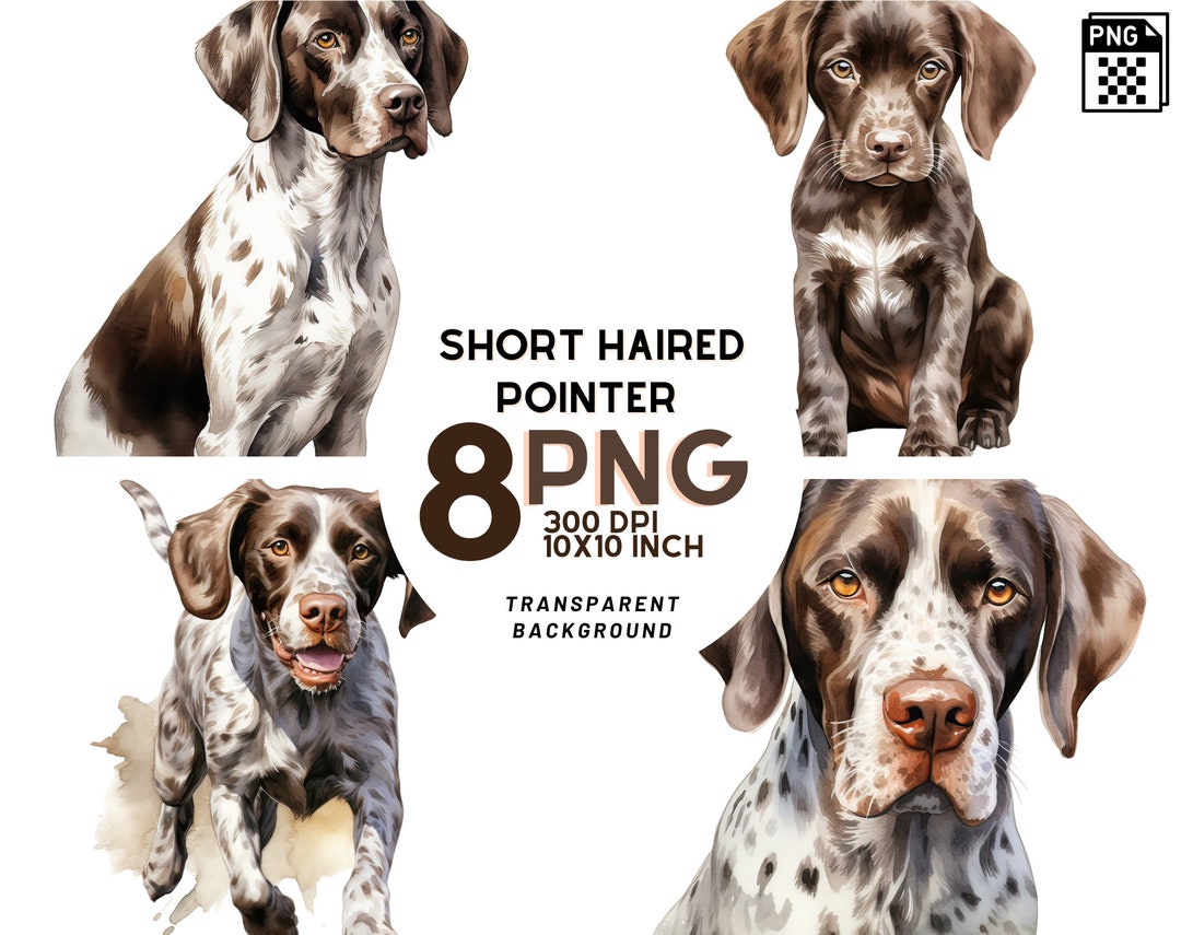 Watercolor Short Haired Pointer Set: 300DPI Pngs for Scrapbooking ...