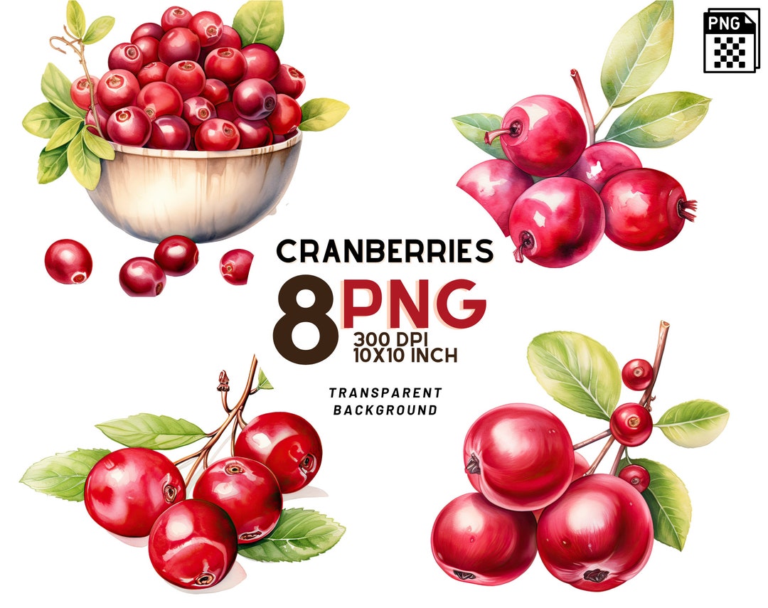 Watercolor Cranberries Clipart: 8 Quality Pngs, 300 DPI - Ideal for ...