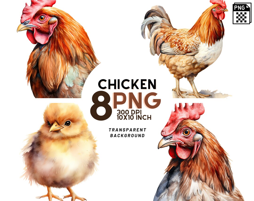 Watercolor Chicken Clipart: 8 High-quality 300 DPI Pngs for ...