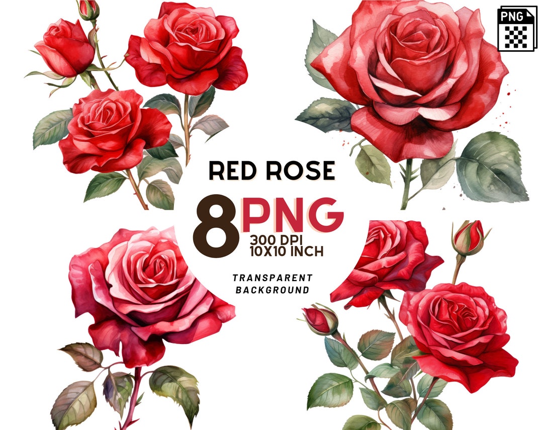 Watercolor Red Rose Clipart - 8 High-resolution Quality Pngs for ...