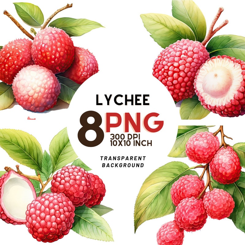 Lychee - Etsy