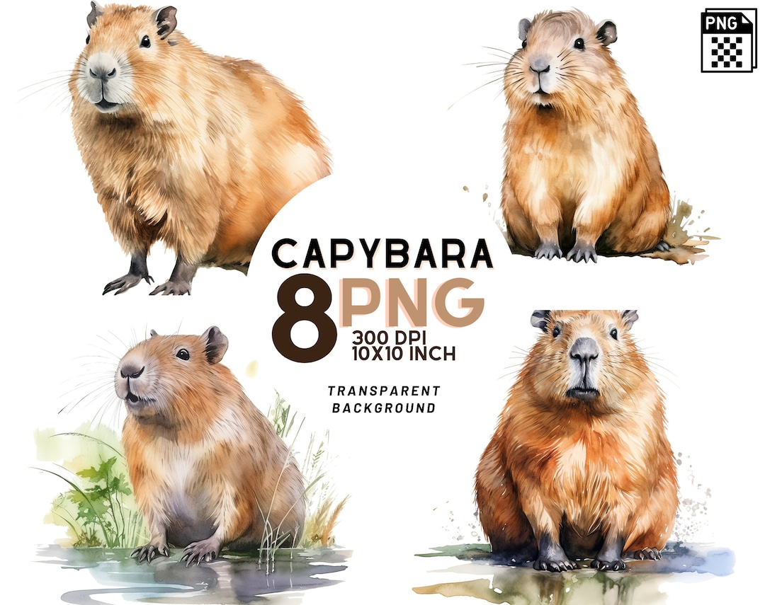 Watercolor Capybara Clipart: 8 High-quality 300 DPI PNG for ...