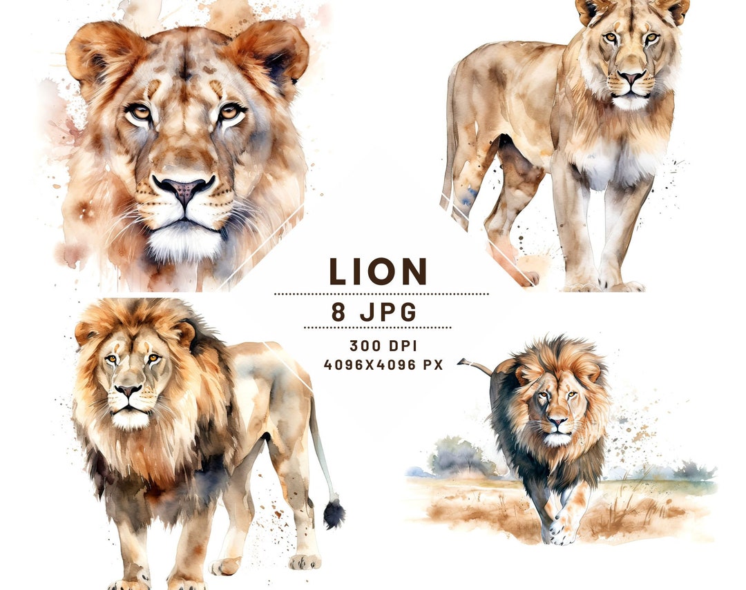 Watercolor Lion Clipart: 8 High-quality Jpgs 300DPI Wild - Etsy