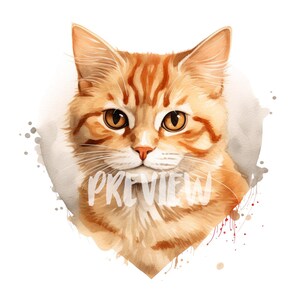 Watercolor Ginger Tabby Cat Clipart - 8 High-quality Pngs for ...