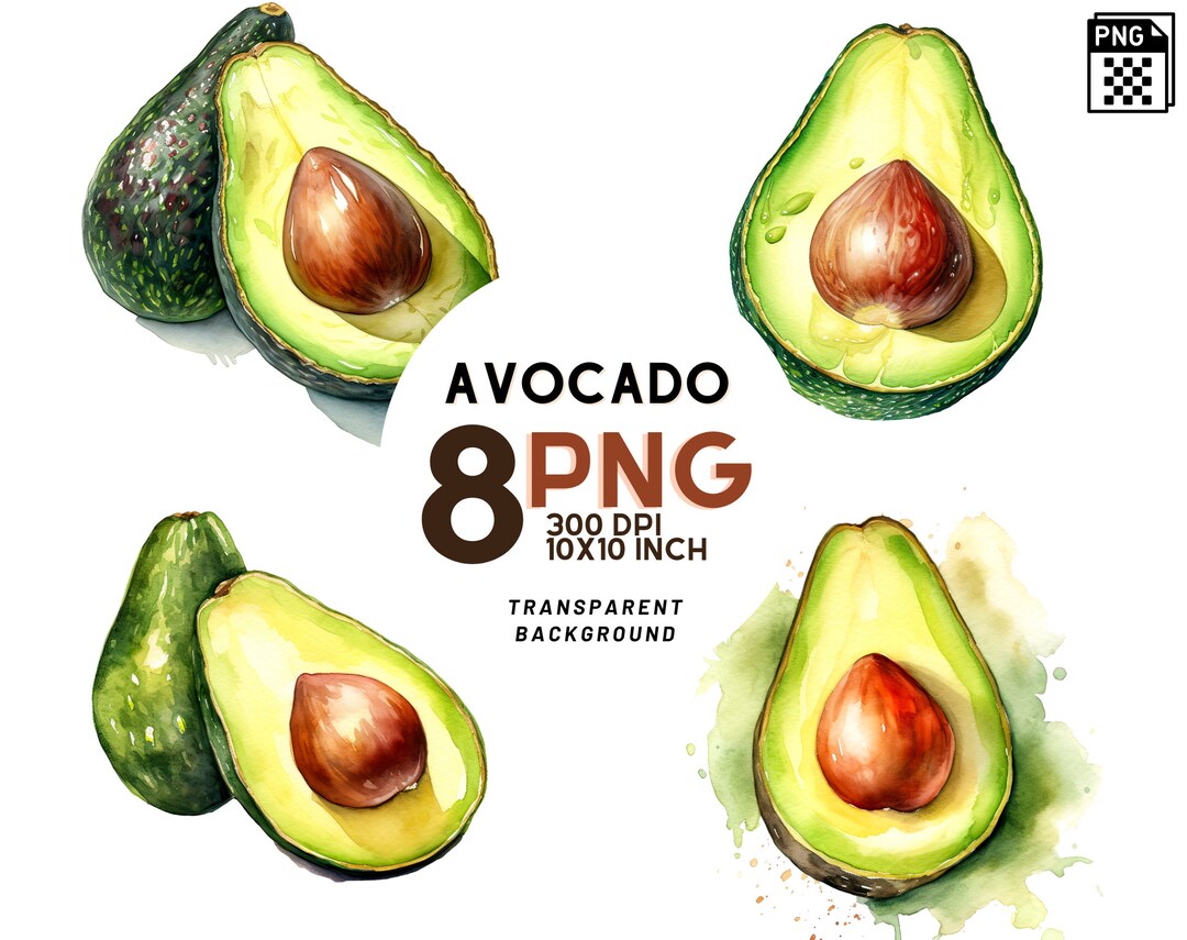 Watercolor Avocado Clipart 8 High-resolution Pngs for Scrapbooking ...