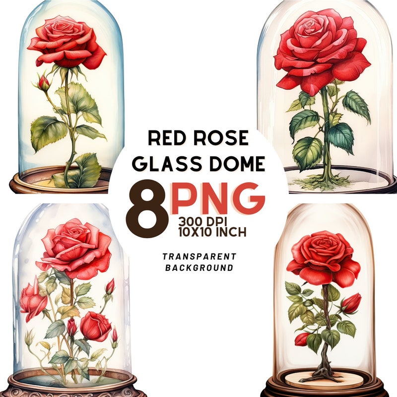 Rose in Glass Dome - Etsy