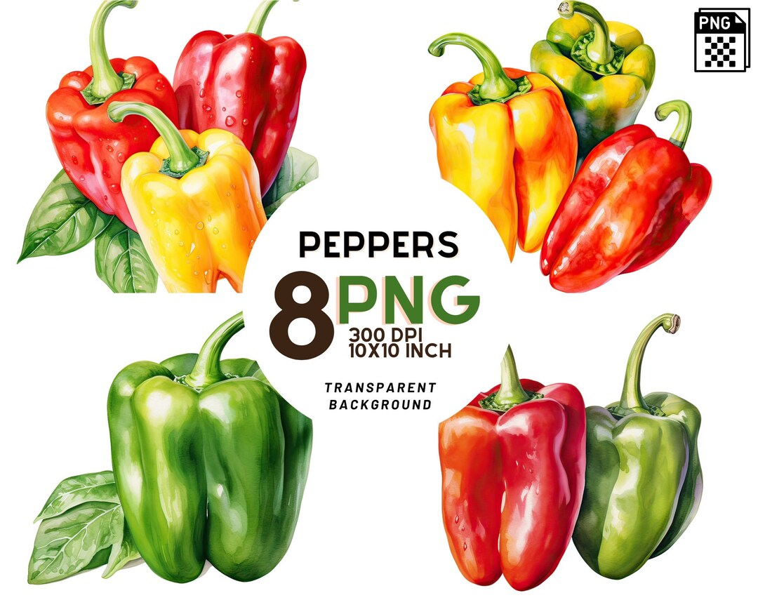 Watercolor Peppers Clipart 8 High-resolution Pngs for Scrapbooking ...