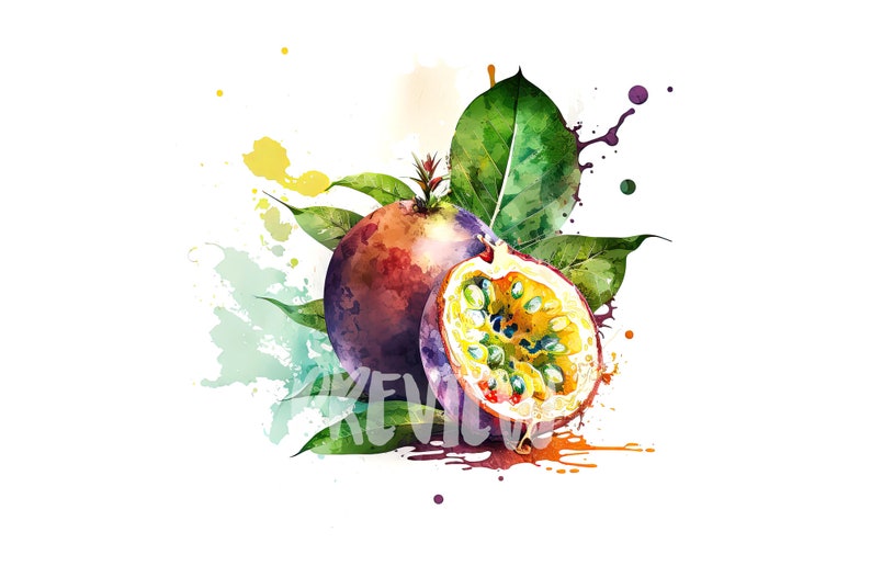 Watercolor Passion Fruit Clipart 8 High-resolution Jpgs for - Etsy