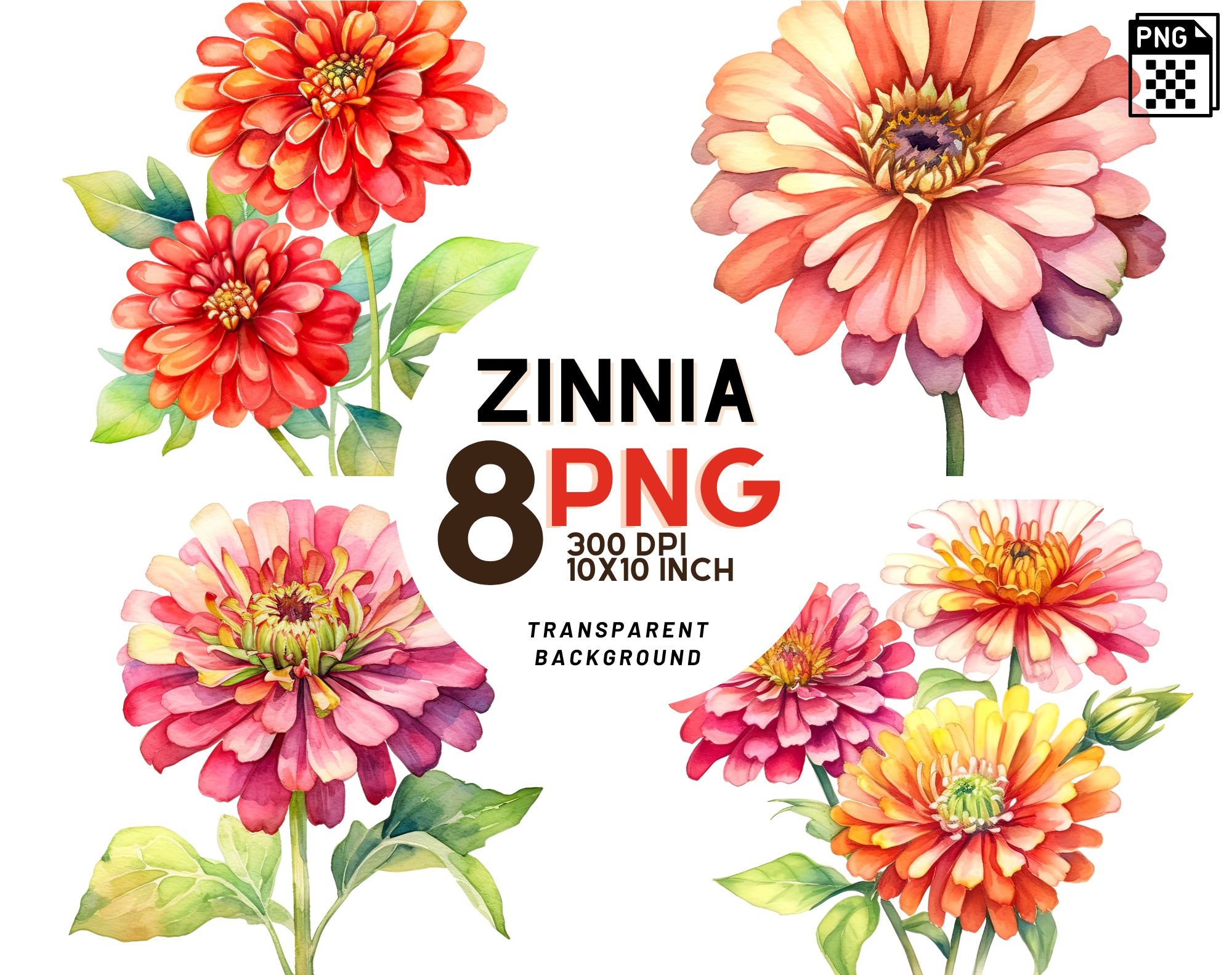 Zinnia Clip Art