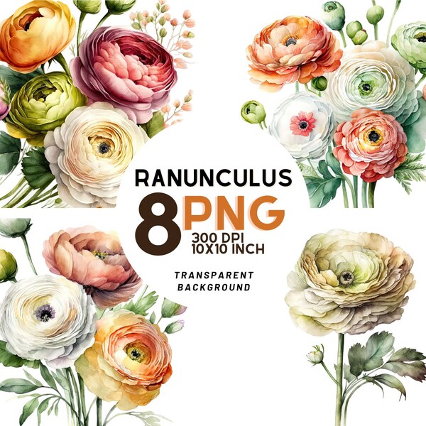 Ranunculus - Etsy