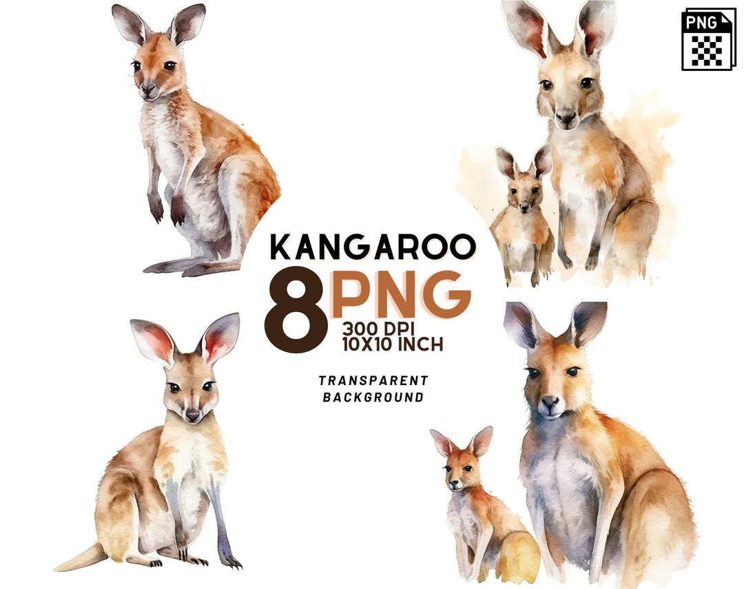 Kangaroo Watercolor Clipart: 8 Quality Pngs for Scrapbooking, Digital ...