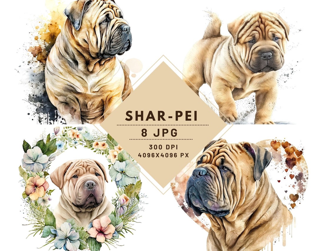 Watercolor Shar-pei Clipart Set: 300DPI Jpgs for Scrapbooking - Etsy