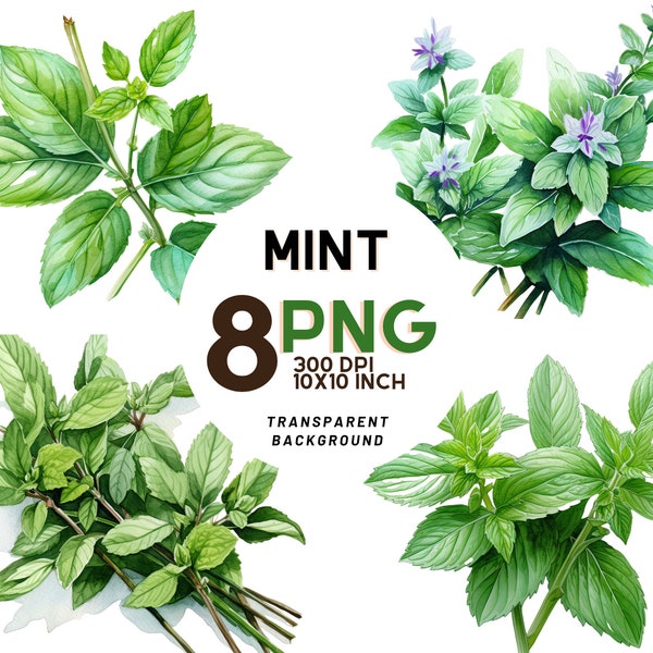 Mint Watercolor - Etsy