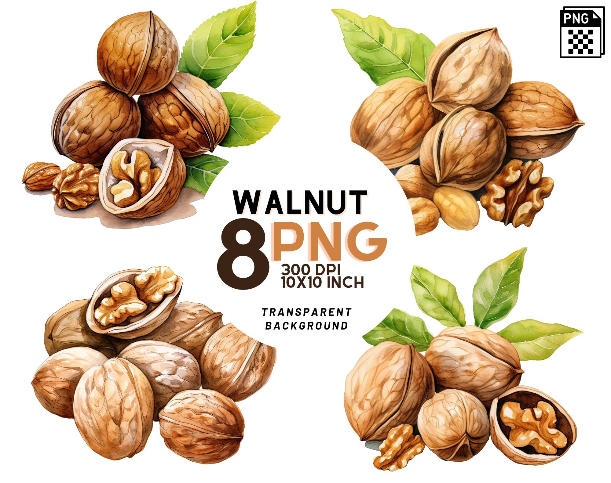 Walnut Clipart