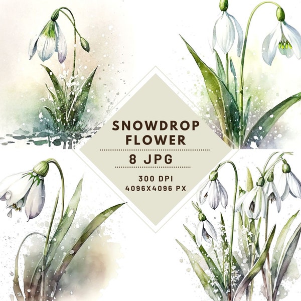 Snowdrop - Etsy