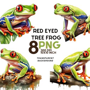 Watercolor Red Eyed Tree Frog Clipart: 8 High-quality Pngs 300DPI ...
