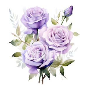 Watercolor Lilac Roses Clipart - 8 High-resolution Quality PNG for ...