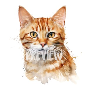 Watercolor Ginger Tabby Cat Clipart 8 High-quality Pngs for ...