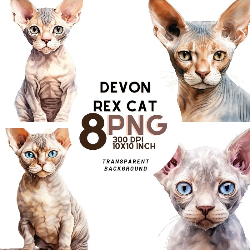 Devon Rex - Etsy