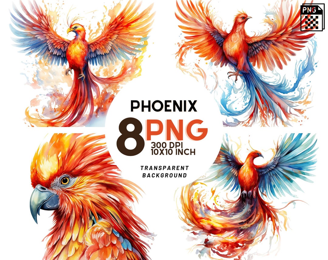 Phoenix Bird Watercolor Clipart: 8 High Quality 300 DPI Ideal for ...