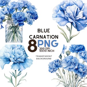 Watercolor Blue Carnation Clipart Set: 8 High-quality 300 DPI Pngs ...