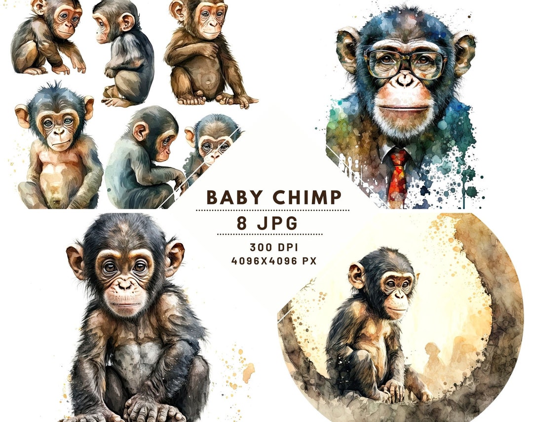 Watercolor Baby Chimp Clipart: 8 High-quality Jpgs 300DPI - Etsy