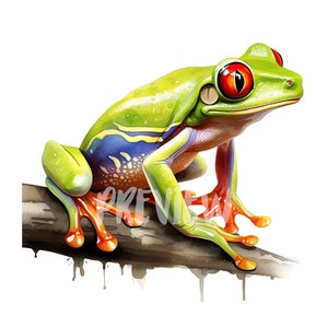 Watercolor Red Eyed Tree Frog Clipart: 8 High-quality Pngs 300DPI ...