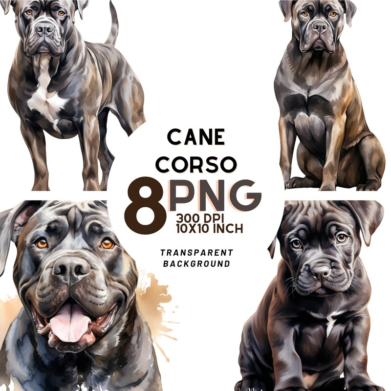 Cane Corso Png - Etsy