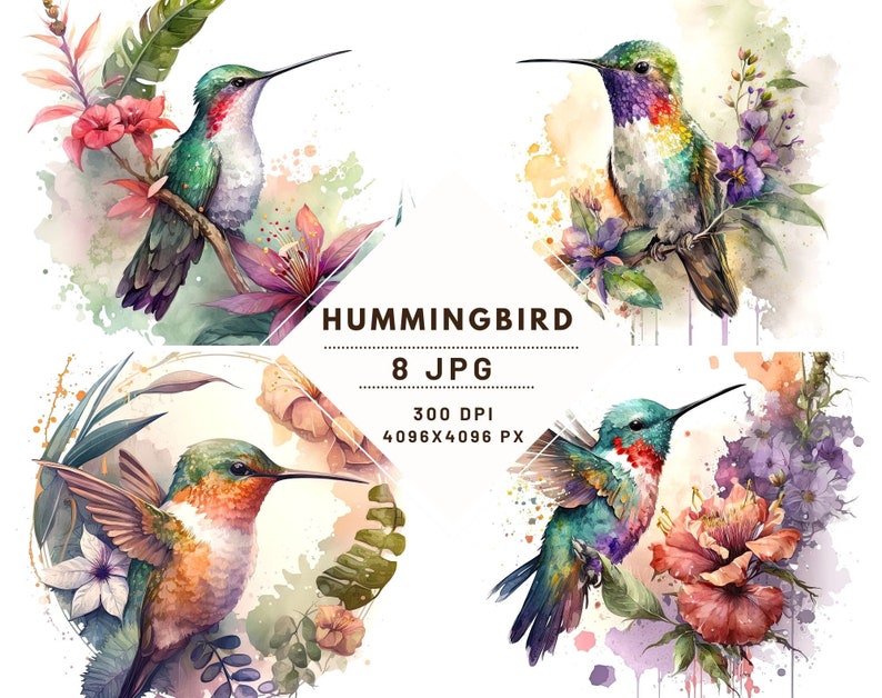 Watercolor Hummingbird Clipart: 8 High-quality 300 DPI - Etsy