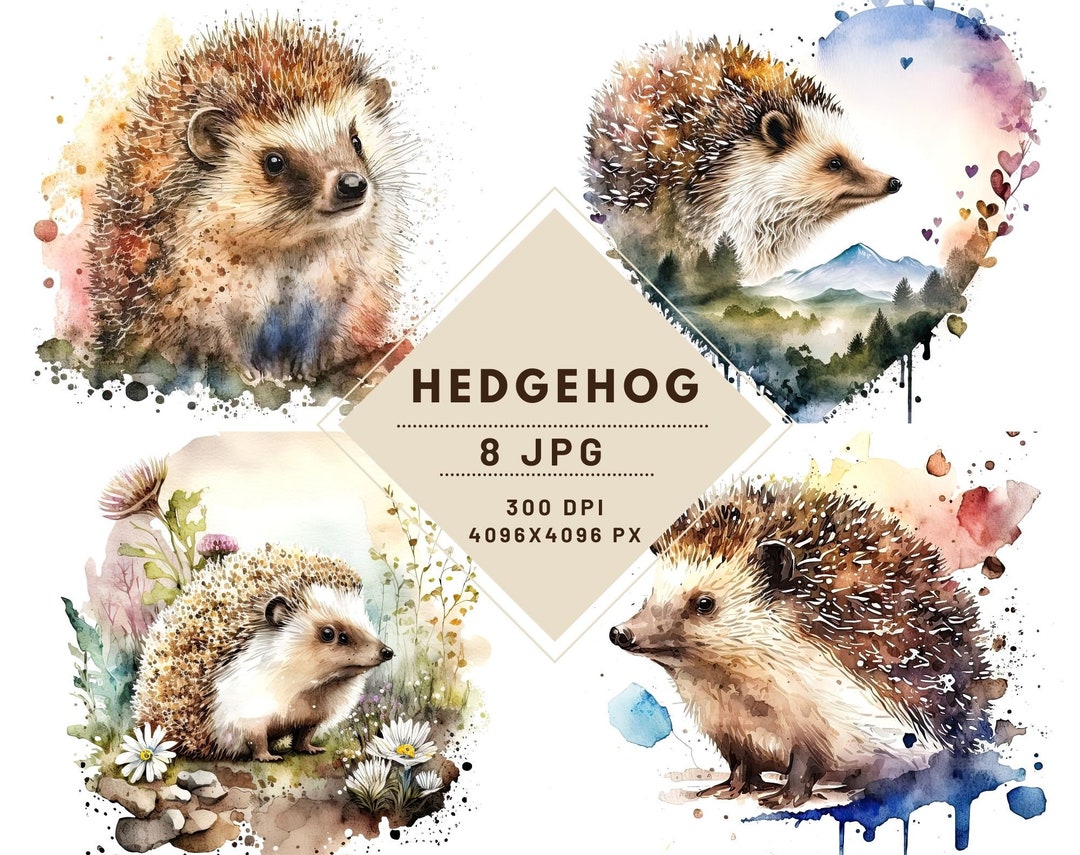 Watercolor Hedgehog Clipart Set: 8 High-quality Jpgs for - Etsy