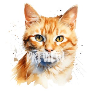 Watercolor Ginger Tabby Cat Clipart 8 High-quality Pngs for ...