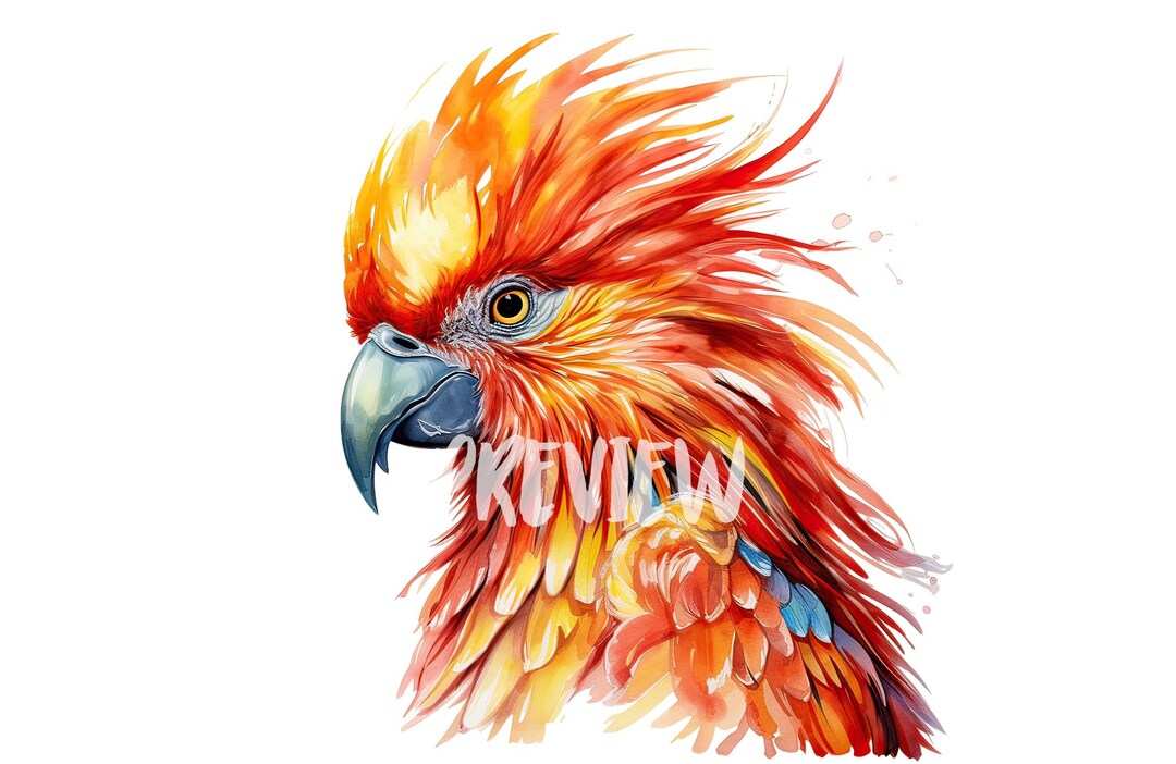 Phoenix Bird Watercolor Clipart: 8 High Quality 300 DPI - Ideal for ...