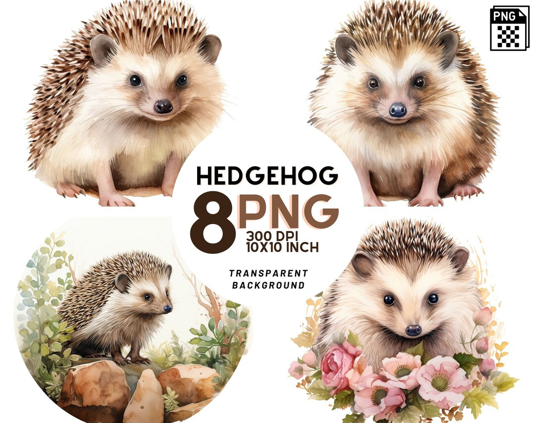 Watercolor Hedgehog Clipart Set: 8 High-quality Pngs for Scrapbooking ...