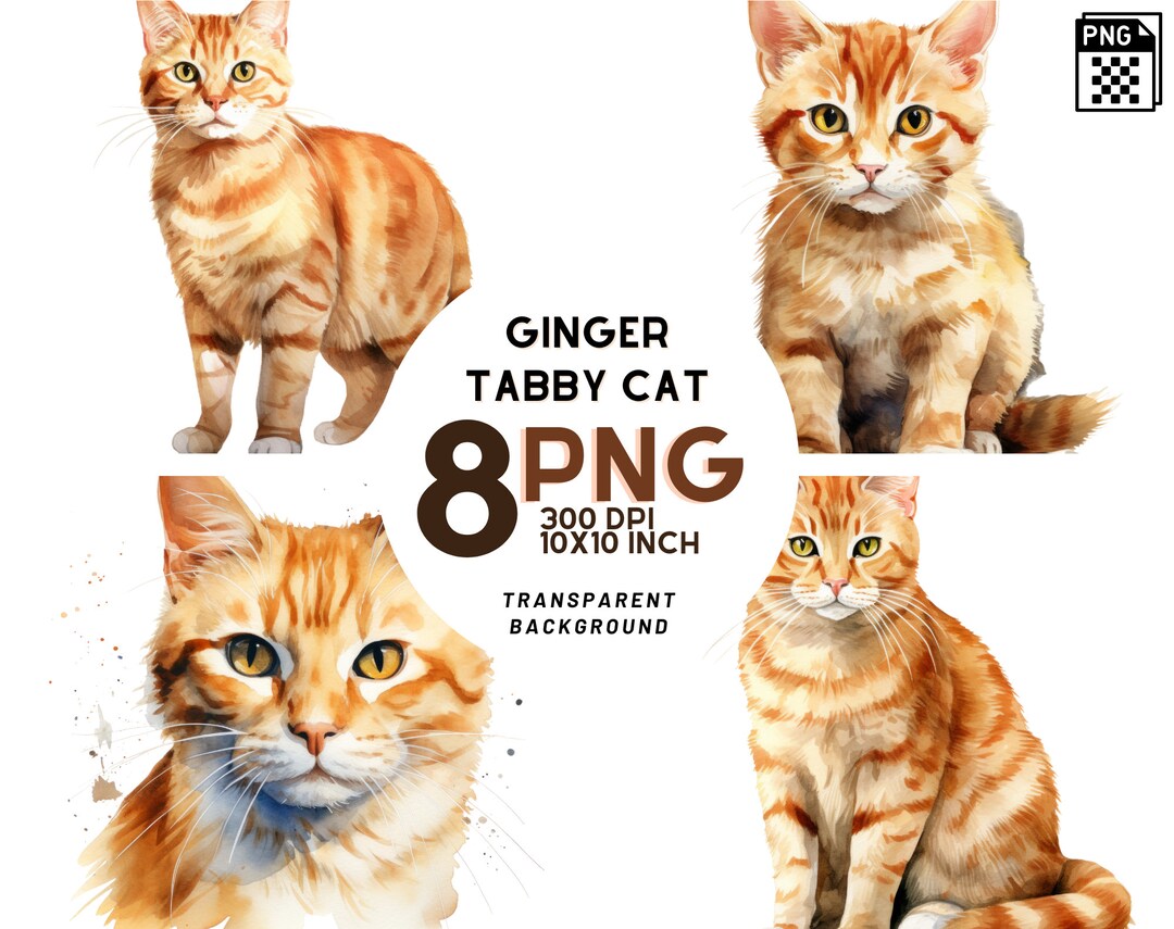 Watercolor Ginger Tabby Cat Clipart 8 High-quality Pngs for ...