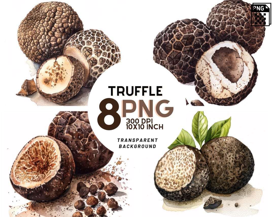Botanical Truffle Clipart: 8 High-quality Pngs, Botanical Print ...