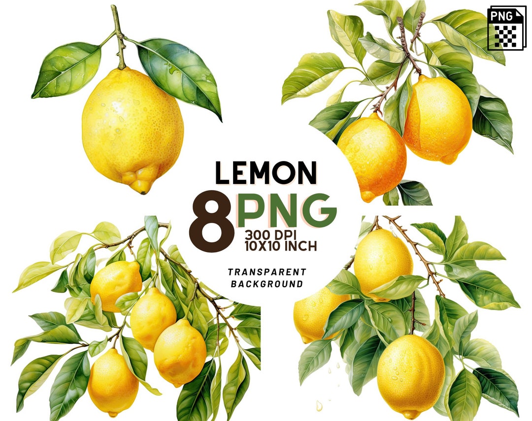 Watercolor Lemons Clipart 8 High-resolution Pngs for Scrapbooking ...