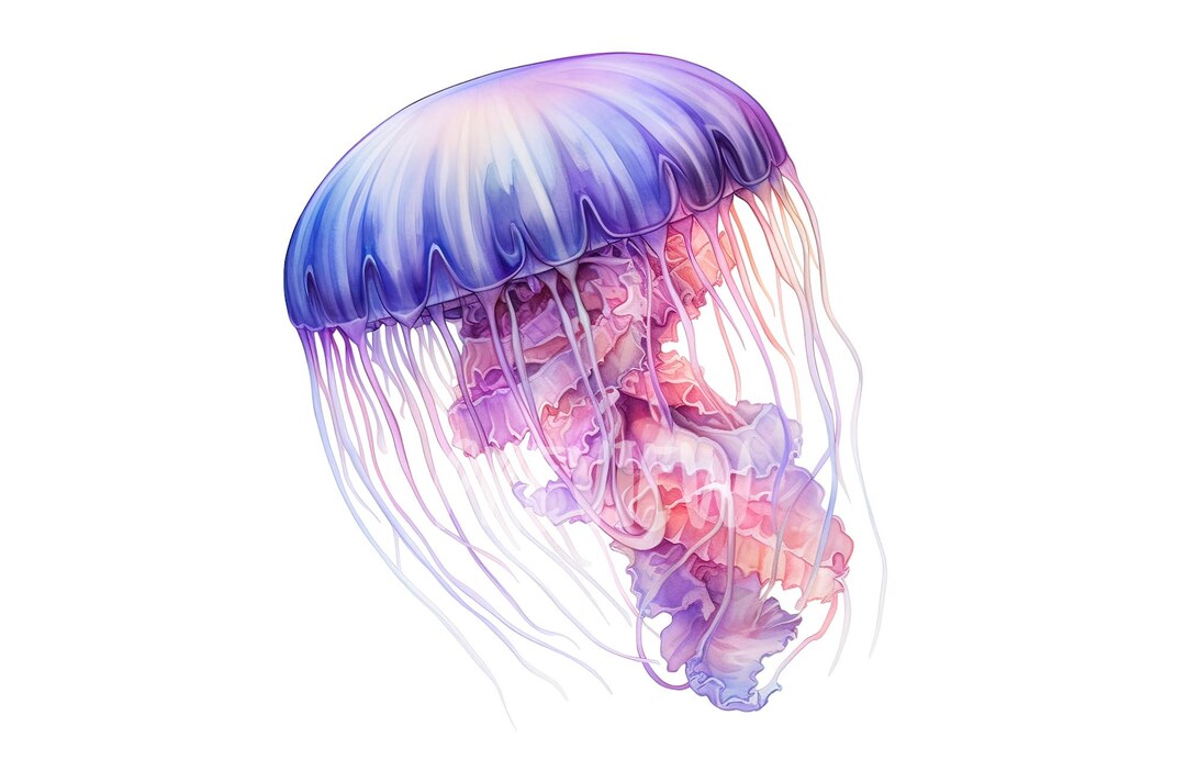 Watercolor Jellyfish Clipart Set - 8 High-quality Pngs for Scrapbooking ...