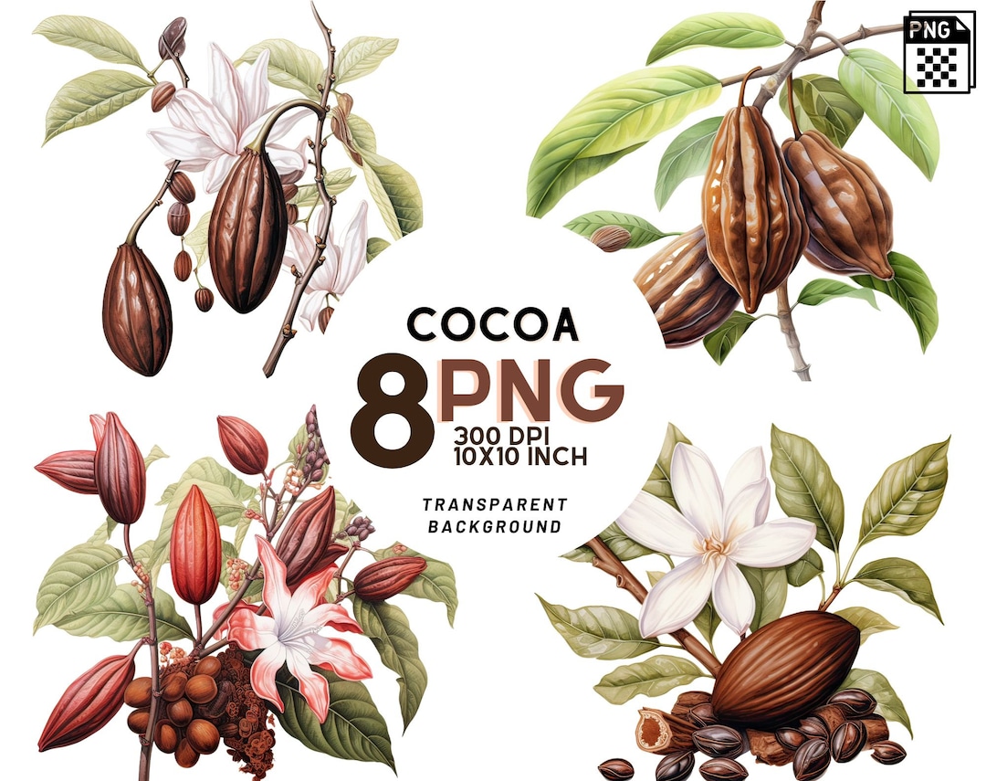 Botanical Cocoa Clipart Set: 8 Quality Pngs 300 DPI Ideal for Scrap, Digital Journal, Printable ...