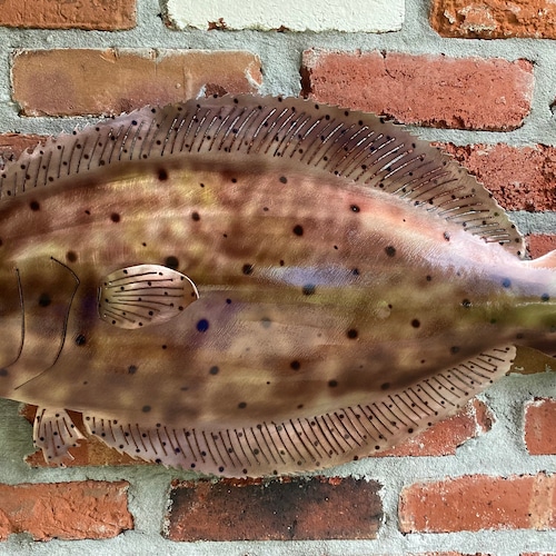 Southern Flounder