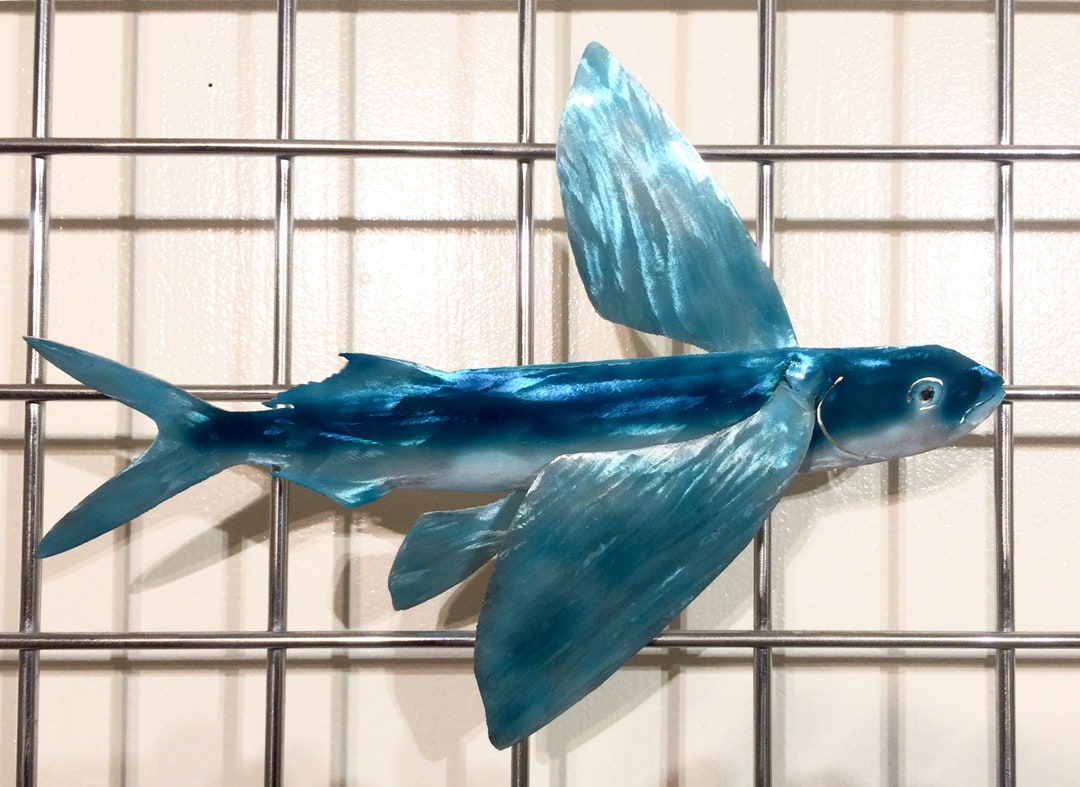 Flying Fish - Etsy